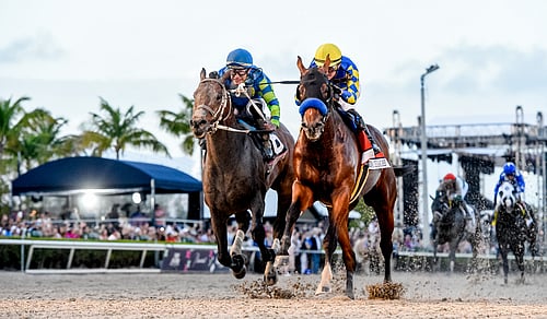 Pegasus World Cup 2026: Celebrating a Decade of Racing and Entertainment