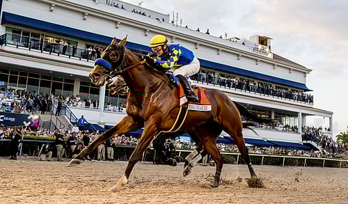 Pegasus World Cup 2026: Celebrating a Decade of Racing and Entertainment