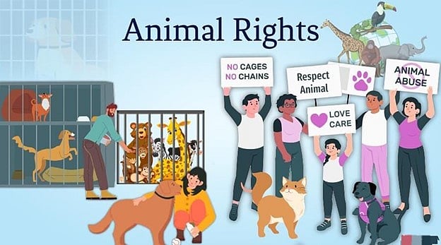 Understanding Animal Policies and Housing Rights: Common Misconceptions