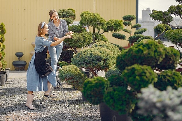 Transform Your Yard: The Benefits of Custom Landscape Plans