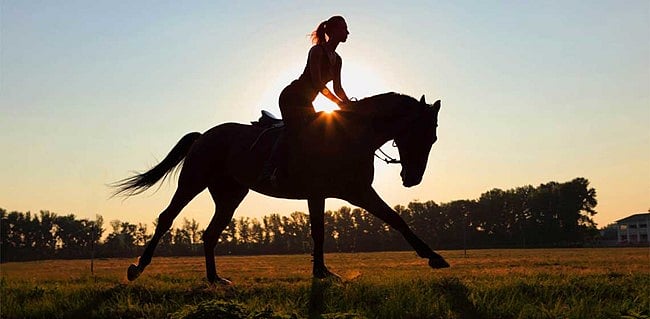 Experience Unforgettable Trail Rides at Timber Valley Ranch