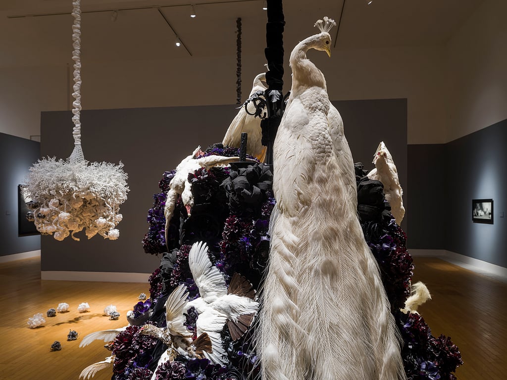 Explore Femininity and Legacy in Petah Coyne's Sculptures at Lowe Art ...