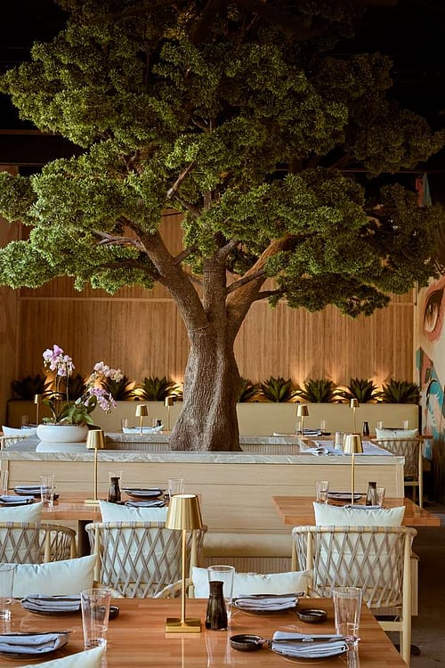 Experience South Miami's First Sushi River at Tokyo Tuna