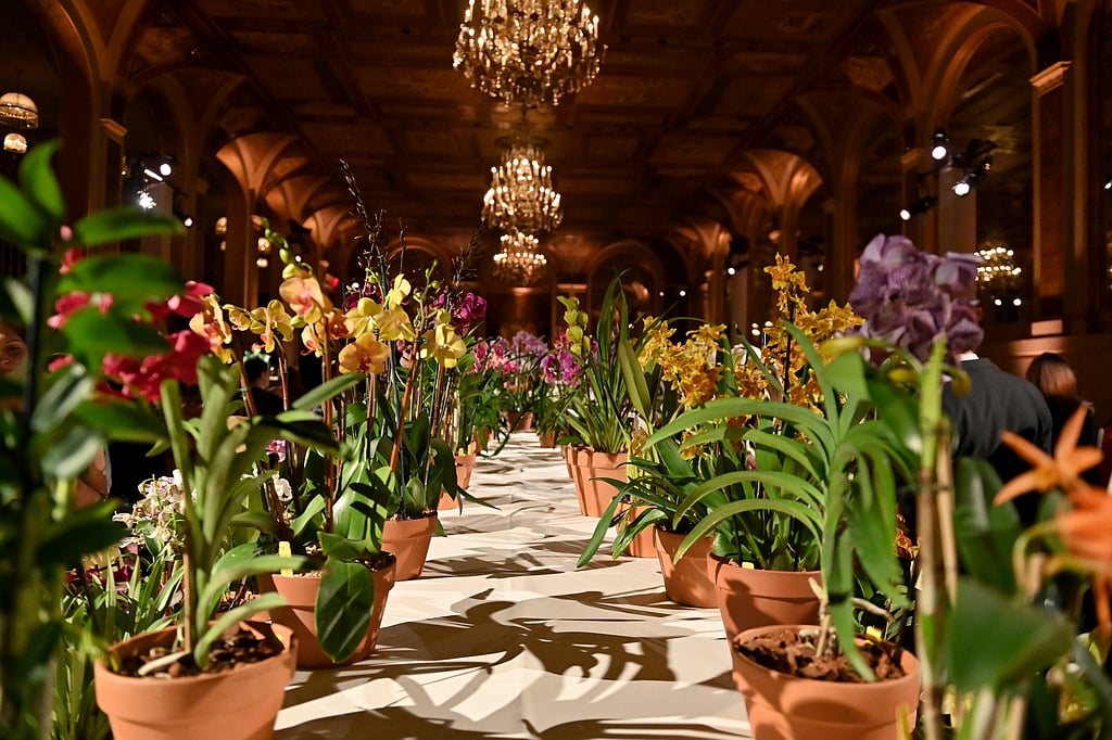 NYBG's Orchid Dinner: Glamour and Conservation at The Plaza Hotel