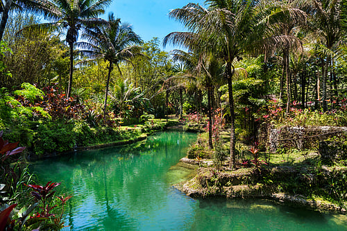 Inside ‘Breezy Oaks’: $17.999 Million Miami Estate With Private Grottos ...