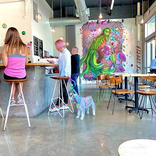 Top 10 Coffee Shops in Brickell | The Ultimate Guide
