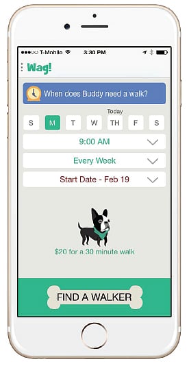 Wag! dog walking app launcheD in NYC