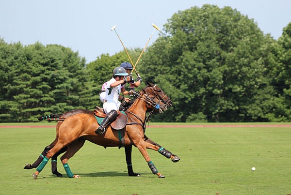 LET THE POLO GAMES BEGIN
