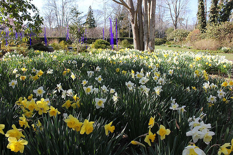 SPRING SNEAK PEEK WITH ALEX FELEPPA