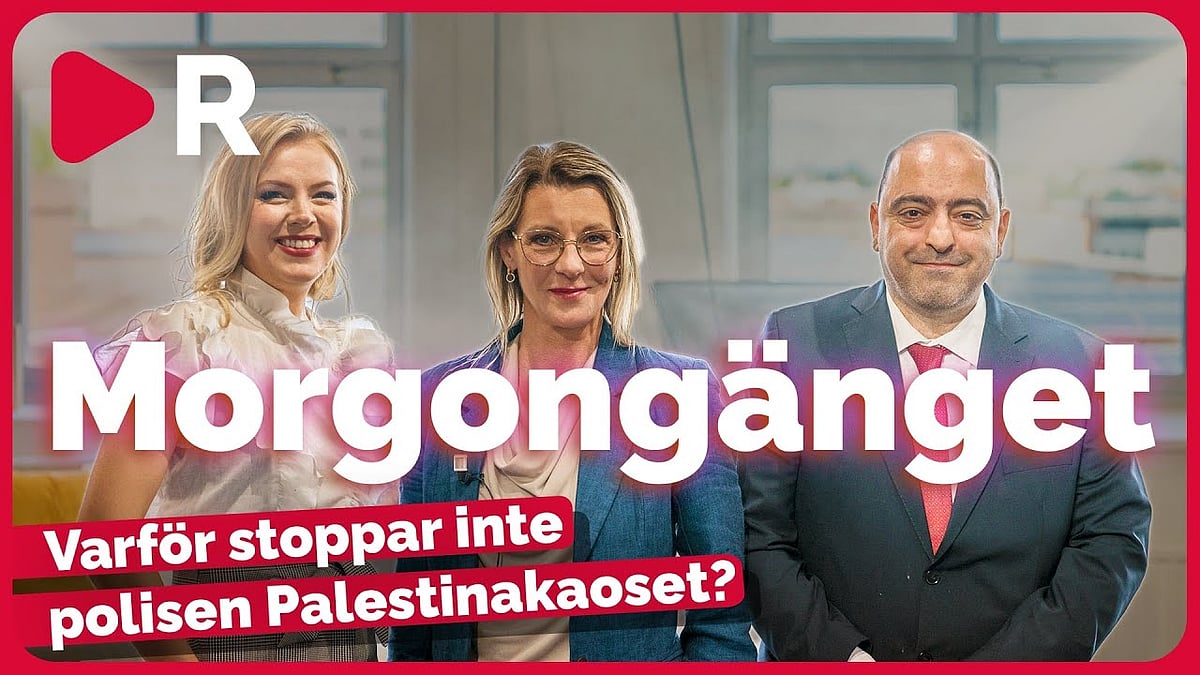 Morgongänget: Varför stoppar inte polisen Palestinakaoset?