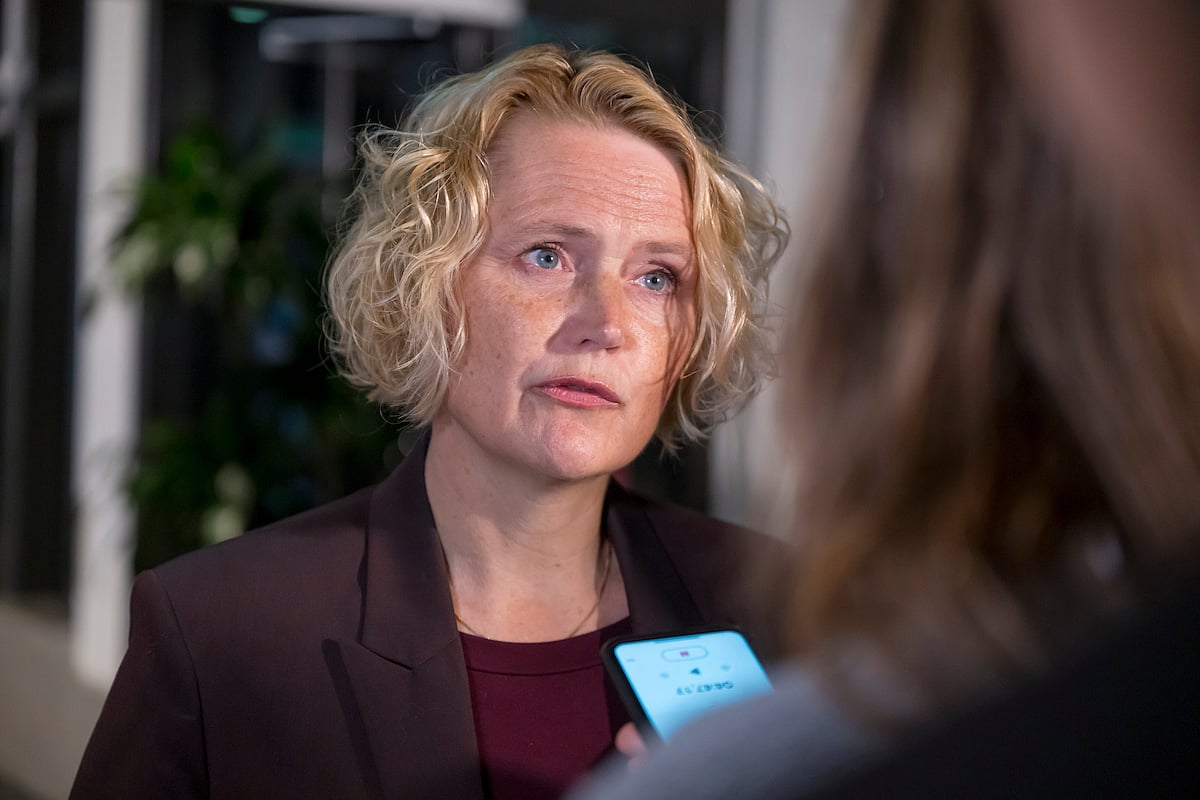 Anna-Karin Hatt avgår