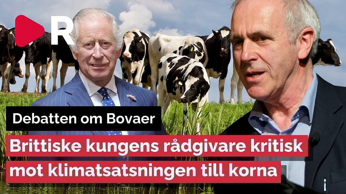 Kungliga rådgivaren: Bovaer kan få konsekvenser för dig och din mat