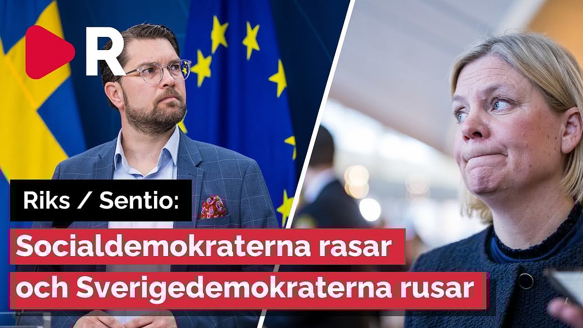 Riks / Sentio: Ras för Socialdemokraterna och Sverigedemokraterna rusar