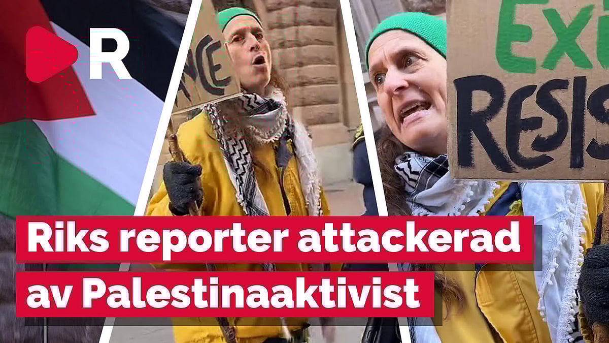 Riks reporter attackerad av Palestinaaktivist