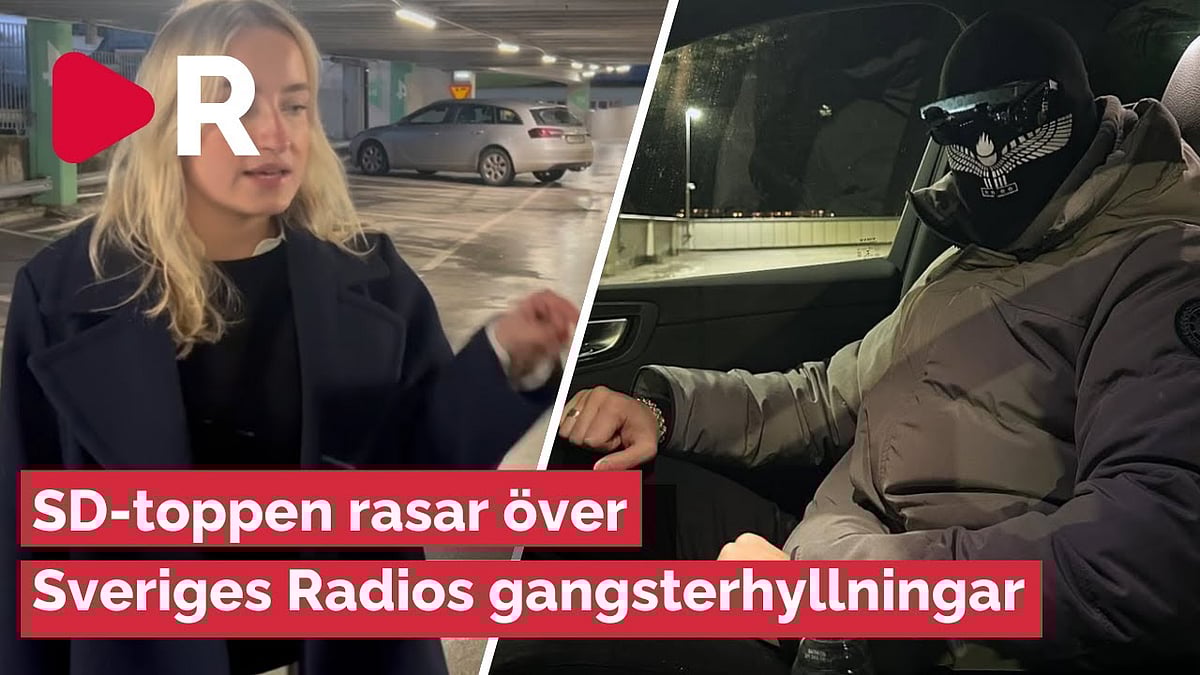 SD-toppen Denice Westerberg rasar på gangsterhyllningarna i Sveriges Radio