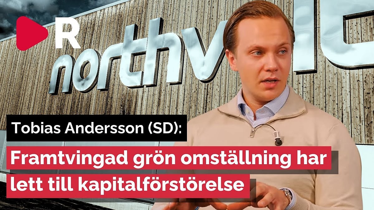 Tobias Andersson (SD): Staten ska inte syssla med grön omställning