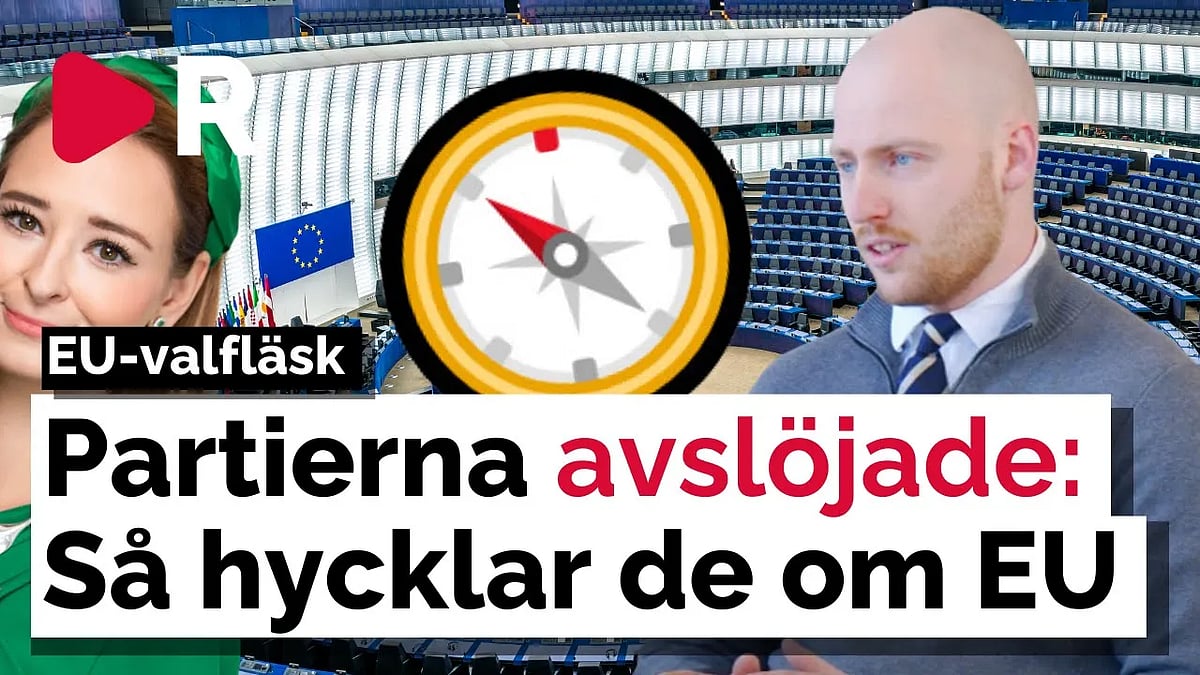Så har partierna EGENTLIGEN röstat i Bryssel – Hycklar politikerna?