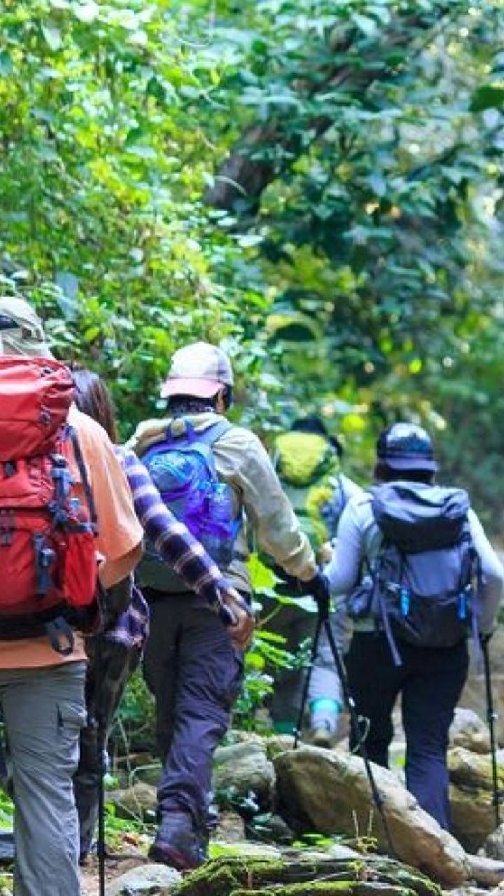 Pune Travel : ट्रेकिंगचा थरार अनुभवायचाय? वीकेंडला पुण्यातील ‘या ...