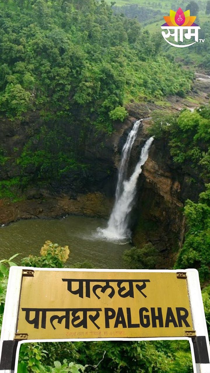 Palghar Travels : पांढराशुभ्र धबधबा अन् हिरवागर्द निसर्ग, पालघरचं ...