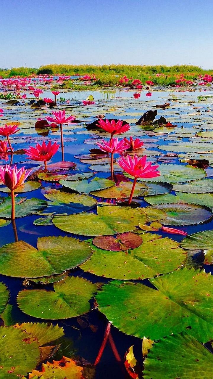 Toranmal Hill Station: जोडीदारासोबत क्वालिटी टाइम हवाय? तोरणमाळ येथील ...