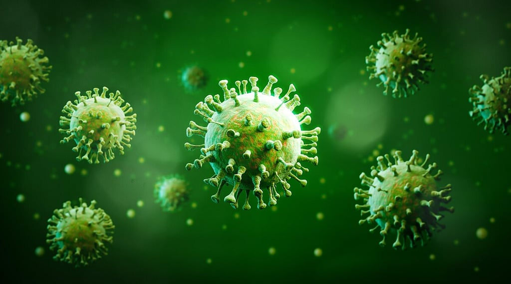 Pune GBS Update : जीबीएसचा धोका वाढला, पुण्यात आणखी ४ नवे रुग्ण; एकूण ...