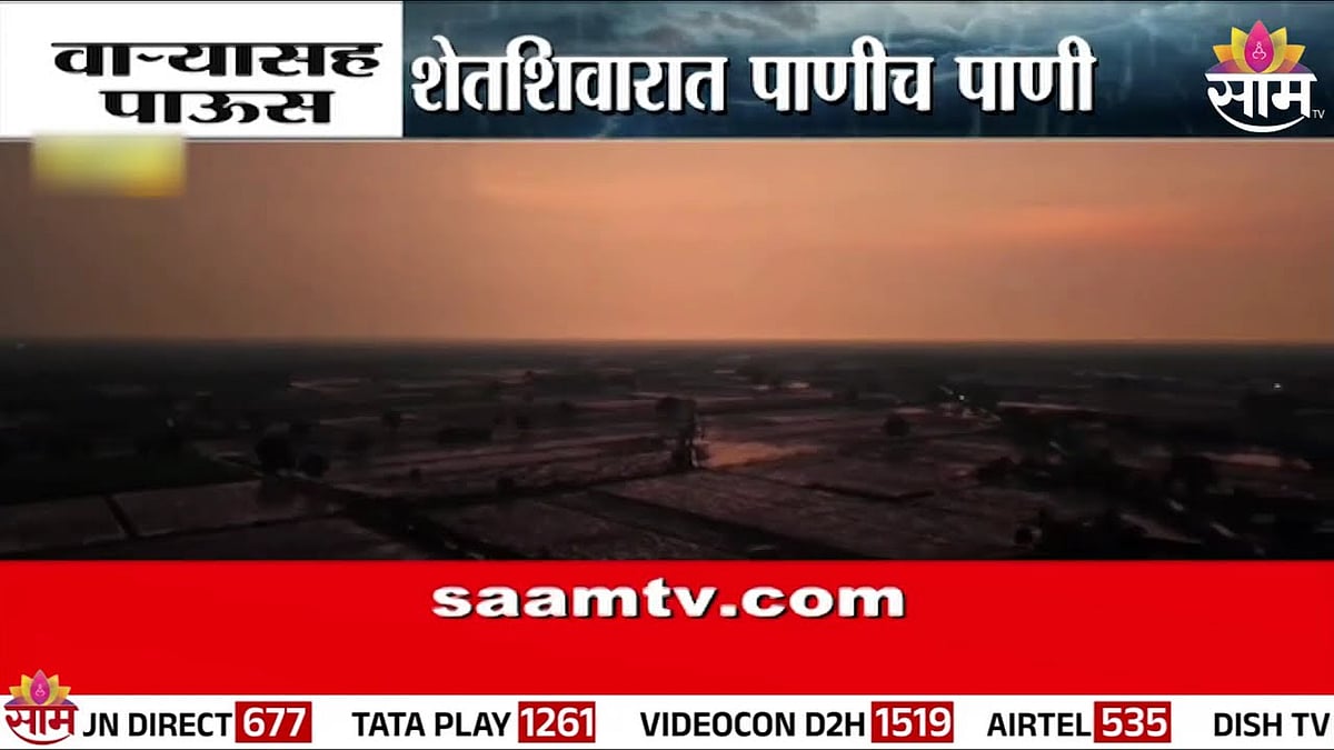 Maharashtra Rain Update: नाशिकच्या निफाड तालुक्यात पावसाचा हाहाकार ...