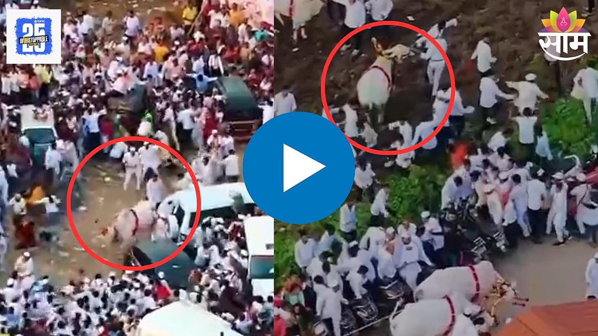 Palkhi Video : माऊलींच्या पालखी सोहळ्यात बैल उधळला, सासवडमधील व्हिडिओ ...