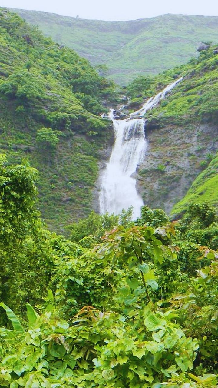 Ashane Waterfall : रायगडचे सौंदर्य वाढवणारा आषाणे धबधबा, तुम्ही कधी ...
