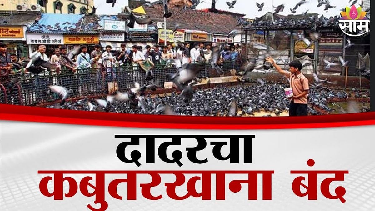 Dadar : हायकोर्टाच्या आदेशानुसार दादर कबुतरखाना बंद; परिसरातील ...