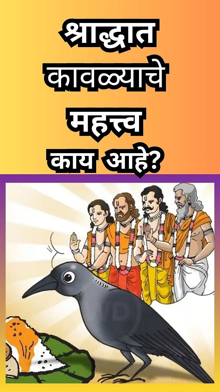 Pitru Paksha 2025 : पितृपक्षात श्राद्धाला कावळा शिवला नाही तर काय करावे ...