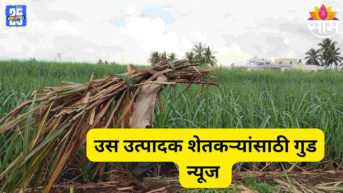 Farmer issue : शेतकऱ्यांसाठी ऊस झाला गोड; प्रति क्विंटलमागे केली वाढ ...