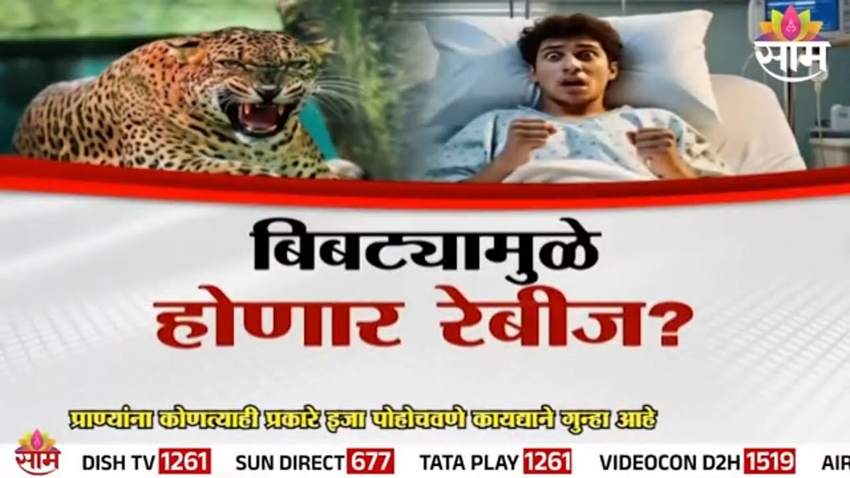 सावधान! बिबट्यामुळे होणार रेबीज? तज्ज्ञांचं स्पष्ट मत|Leopard Attacks ...