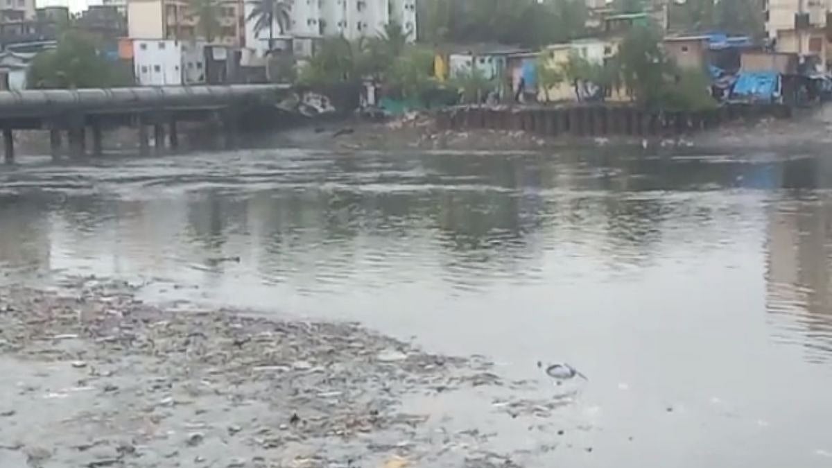 मिठी नदीच्या गाळ प्रकरणी एसआयटी चौकशी करण्याची मंत्री उदय सामंत यांची ...