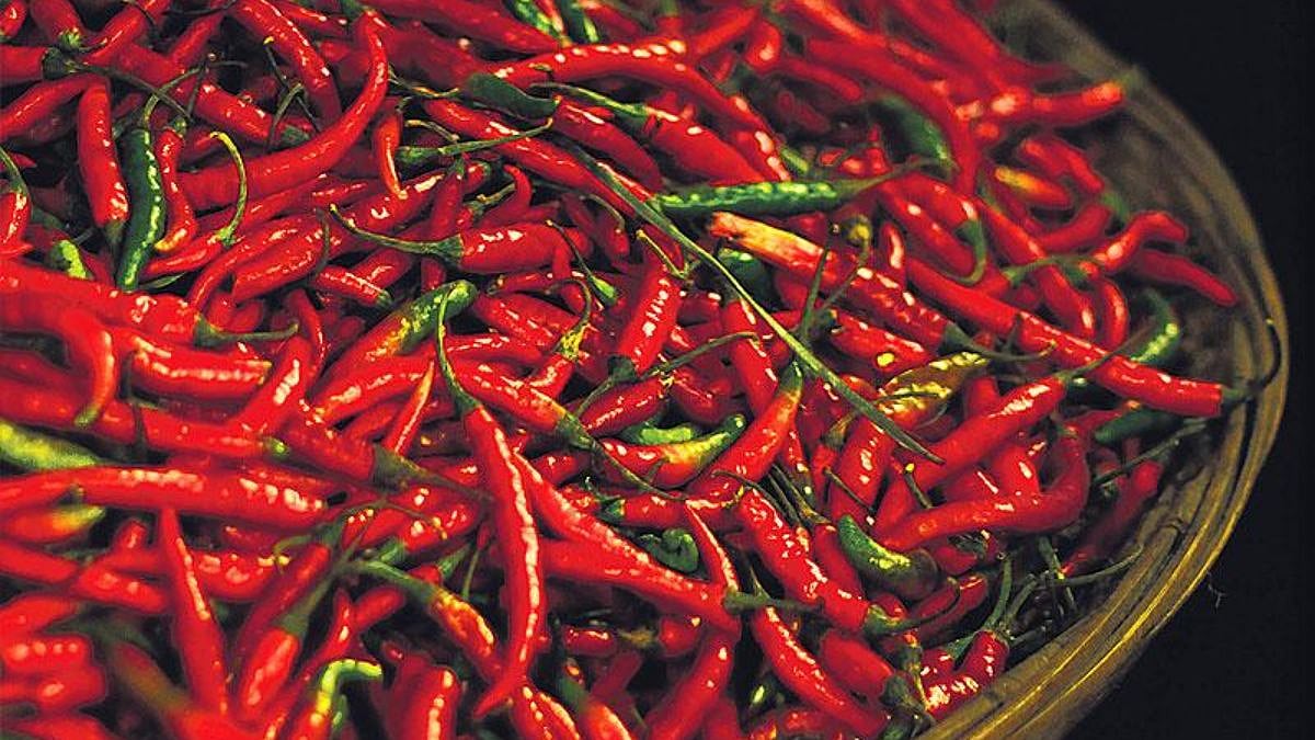 Nandurbar Mirchi Market: मिरचीचा 'ठसका' वाढला! नंदुरबार बाजार ...