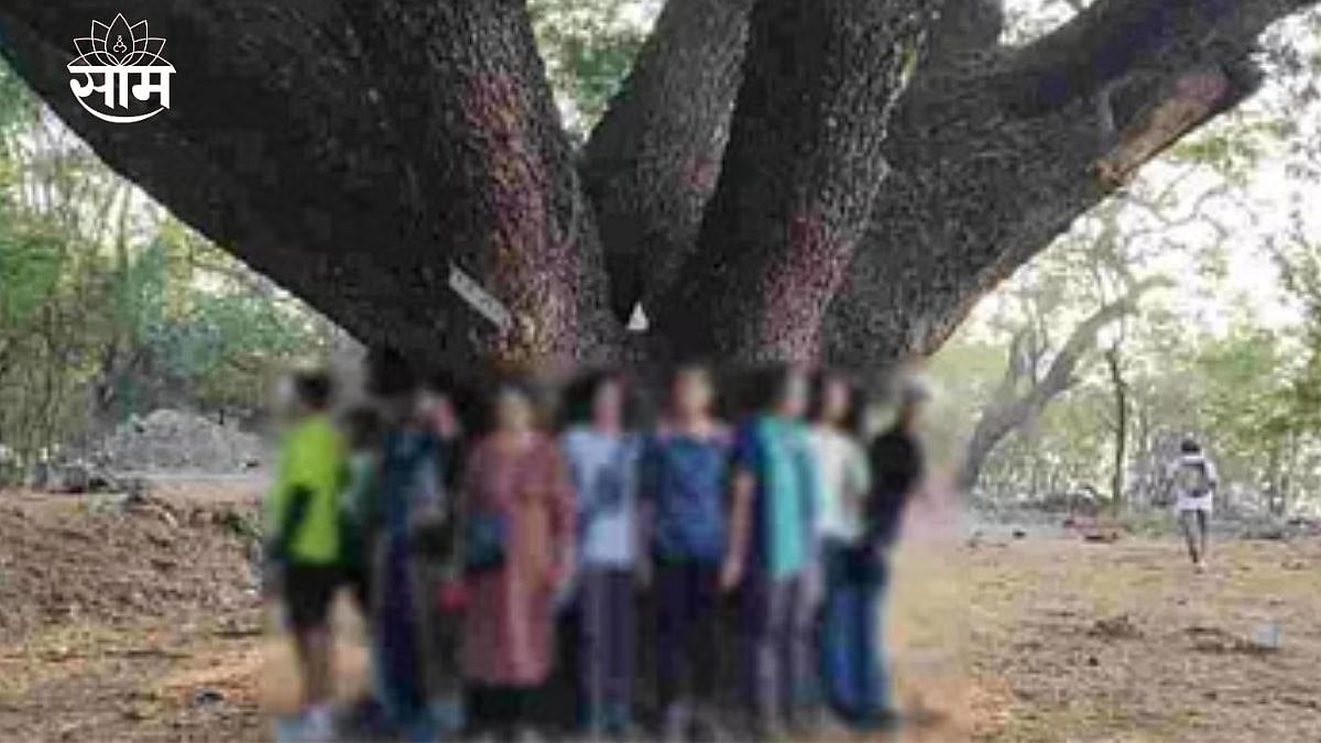 साडेसहा हजार वृक्षतोडीच्या विरोधात तरुण एकवटले, पर्यावरण प्रेमी ...