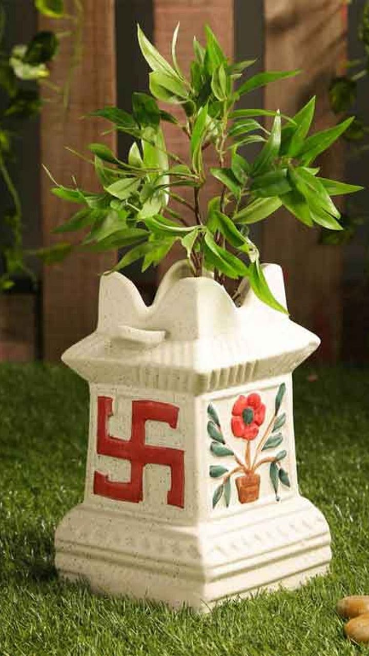 Tulsi Vastu Tips: तुळशीला पाणी घालण्याची योग्य वेळ कोणती?