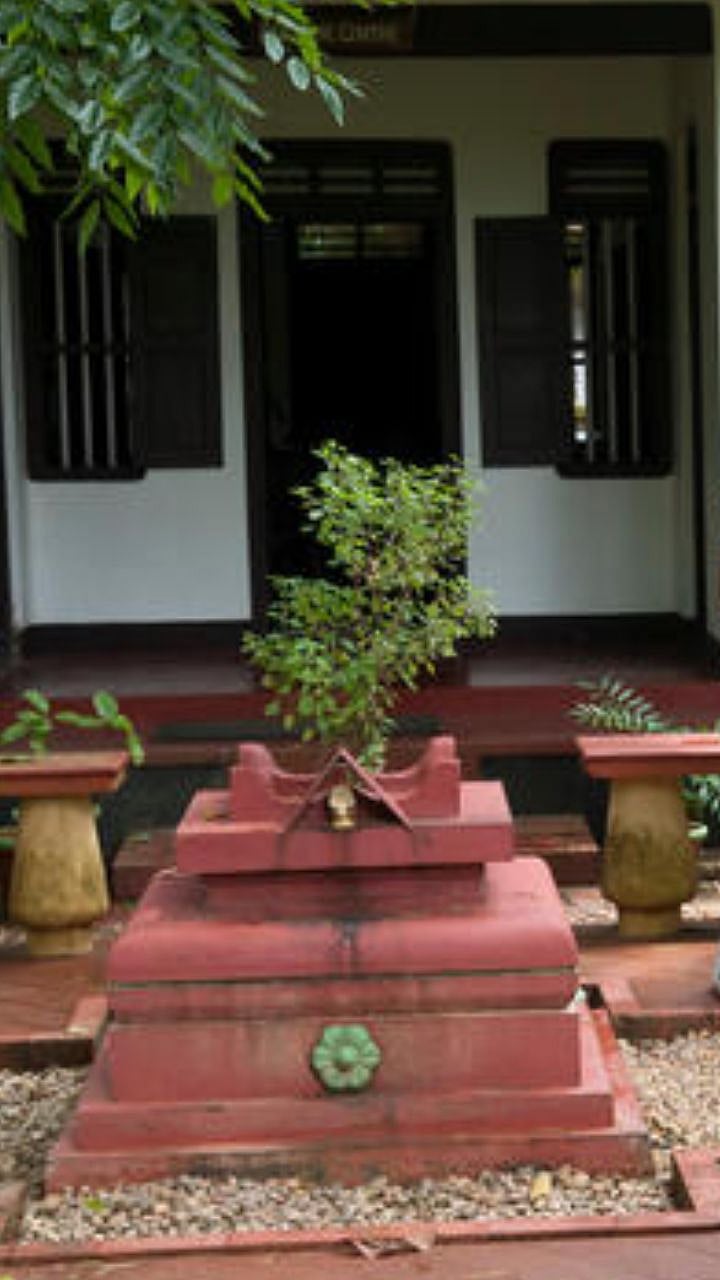 Tulsi Vastu Tips: सकाळी तुळशीला पाणी घालण्याची योग्य वेळ काय?