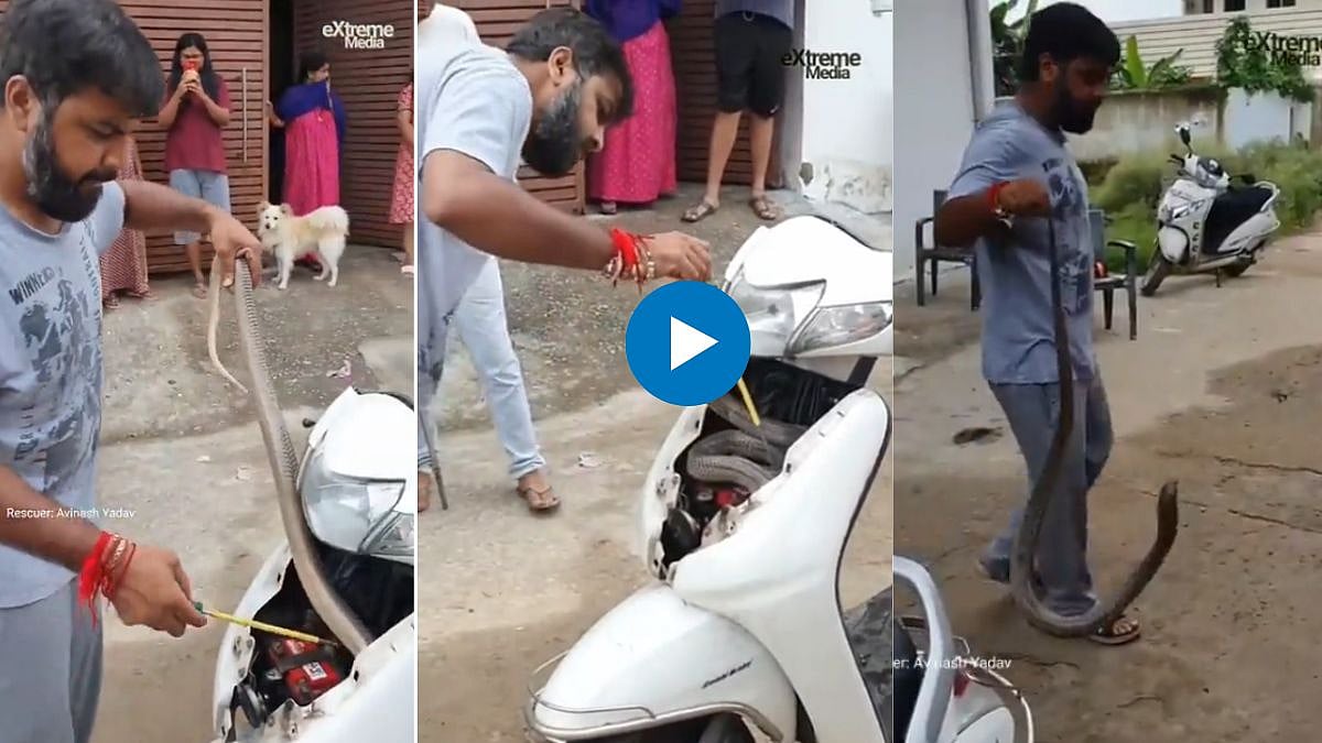 Snake In Scooty: भयंकर! स्कूटीच्या हॅण्डलमध्ये बसला होता किंग कोब्रा ...
