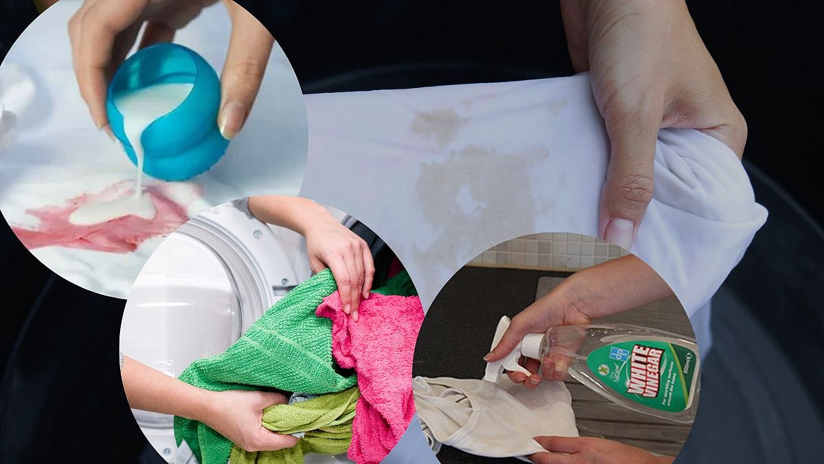 Clothing Hacks : रंगीत कपडे धुतल्यानंतर फिकट होतात? या घरगुती टिप्स फॉलो करा, पुन्हा नव्यासारखे ...