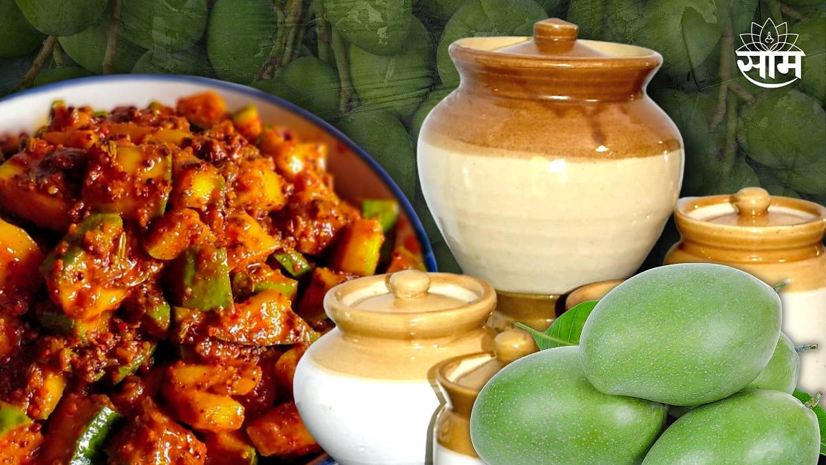 Mango Pickle Making Tips : कैरीचे लोणचे बनवताय ? लगेच खराब होते? मग या ...