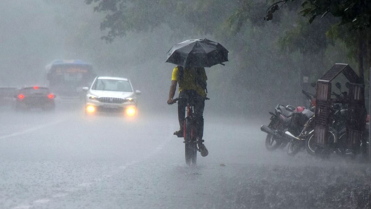 Maharashtra Rain Forecast : उद्या राज्यात पाऊस कसा असेल? कोकण आणि मध्य ...