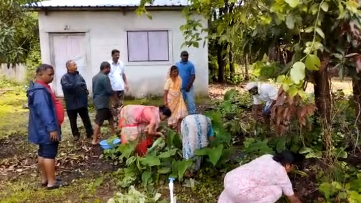 Gatari Amavasya: ना चिकन ना मटण...; ग्रामस्थांनी साजरी केली अनोख्या ...