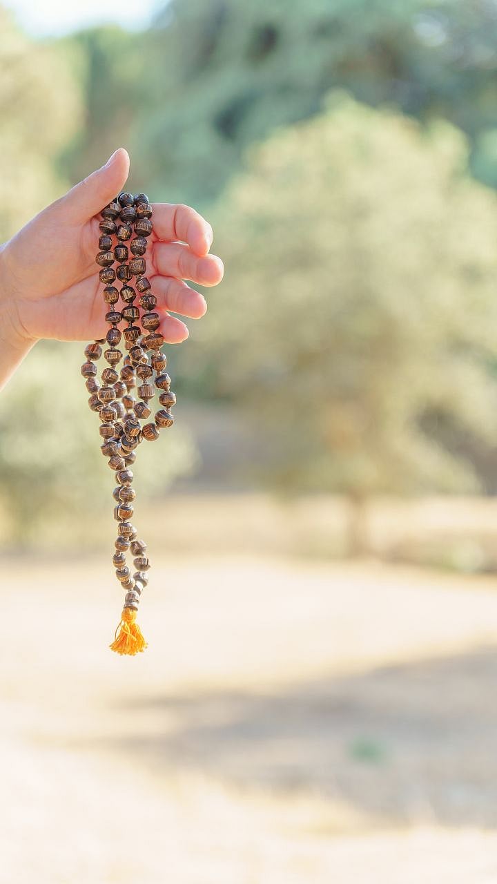 Astro Tips Of Tulsi Mala: तुळशीची माळ घालण्याचे फायदे काय?