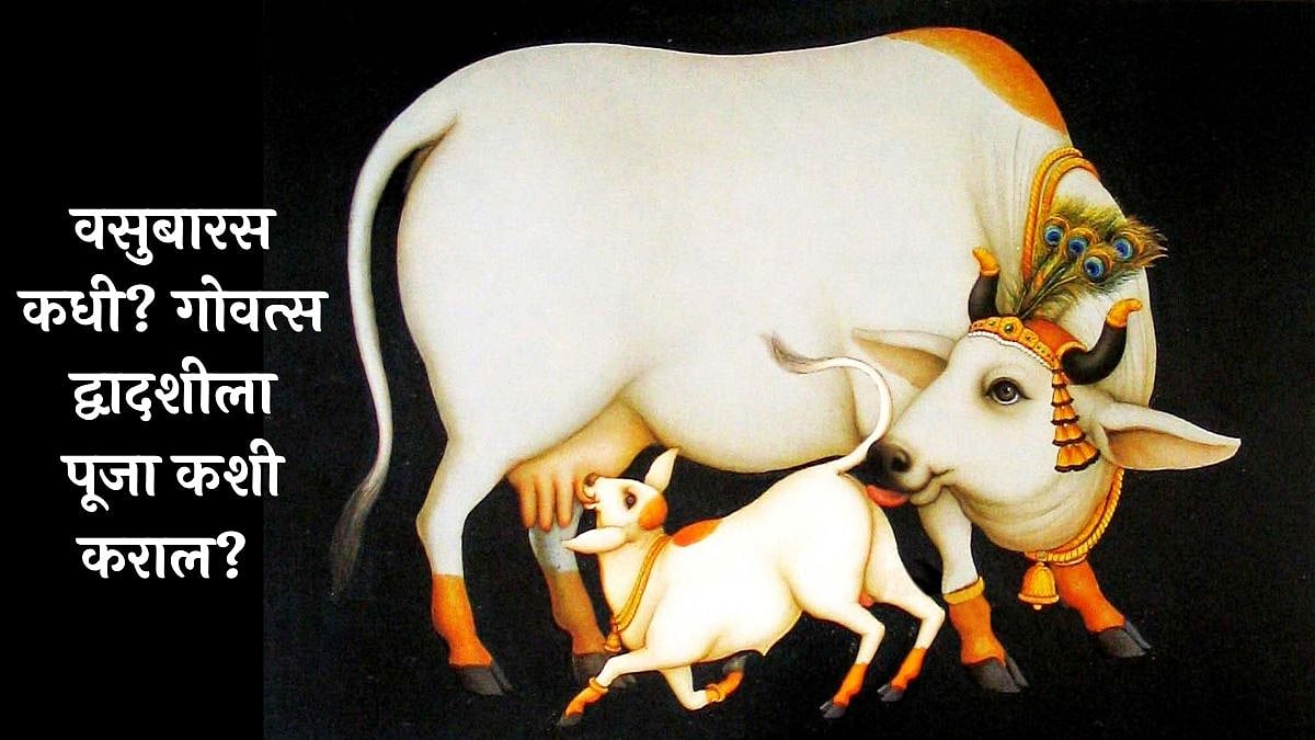 Vasubaras 2023 : वसुबारस कधी आहे? गोवत्स द्वादशीला पूजा कशी कराल? जाणून ...