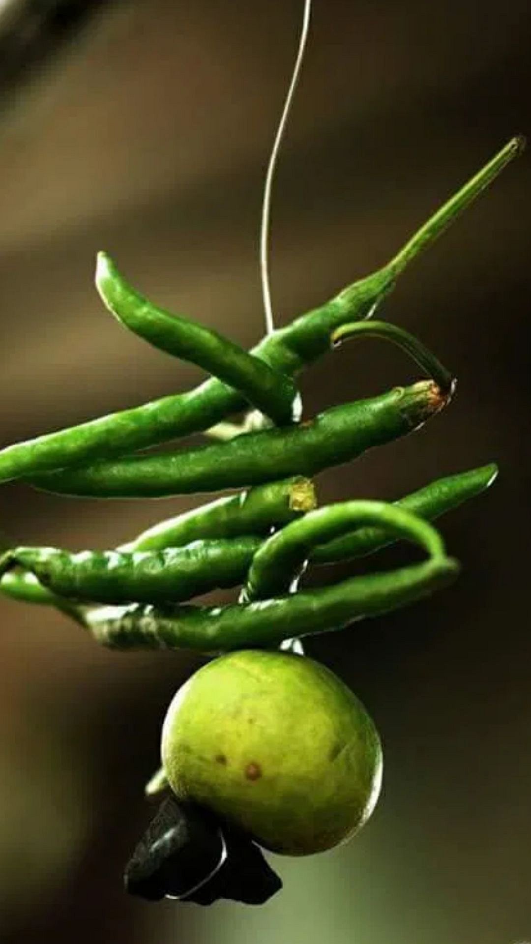 Vastu Tips: दरवाजावर लिंबू-मिरची बांधण्याचे शास्त्रीय कारण काय?