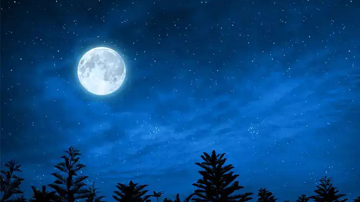 Poornima: पौष पौर्णिमेला वुल्फ मून का म्हणतात? असं नाव का पडलं? या ...