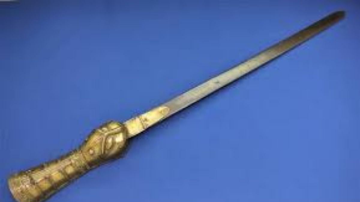 Dandapatta As State Weapon: शिवजंयतीदिनी दांगपट्ट्याला राज्यशस्त्राचा ...