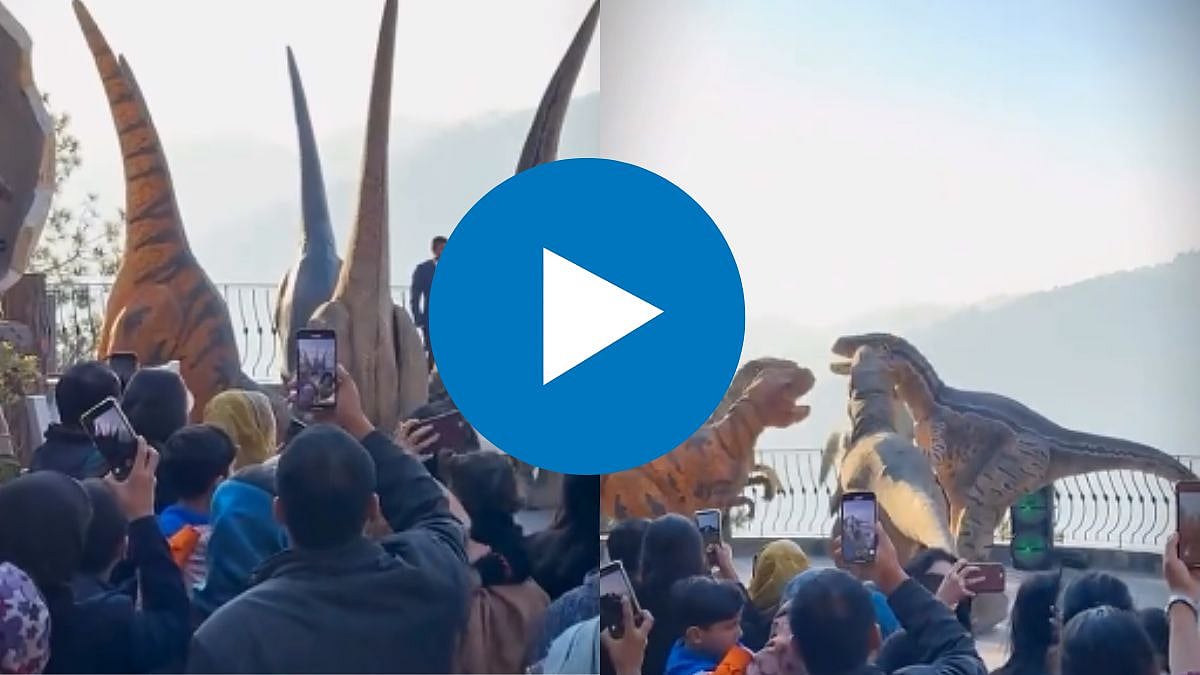 Viral Video: पंजाबी गाण्यावर थिरकले 'डायनासोर', पाकिस्तानातील VIDEO ...