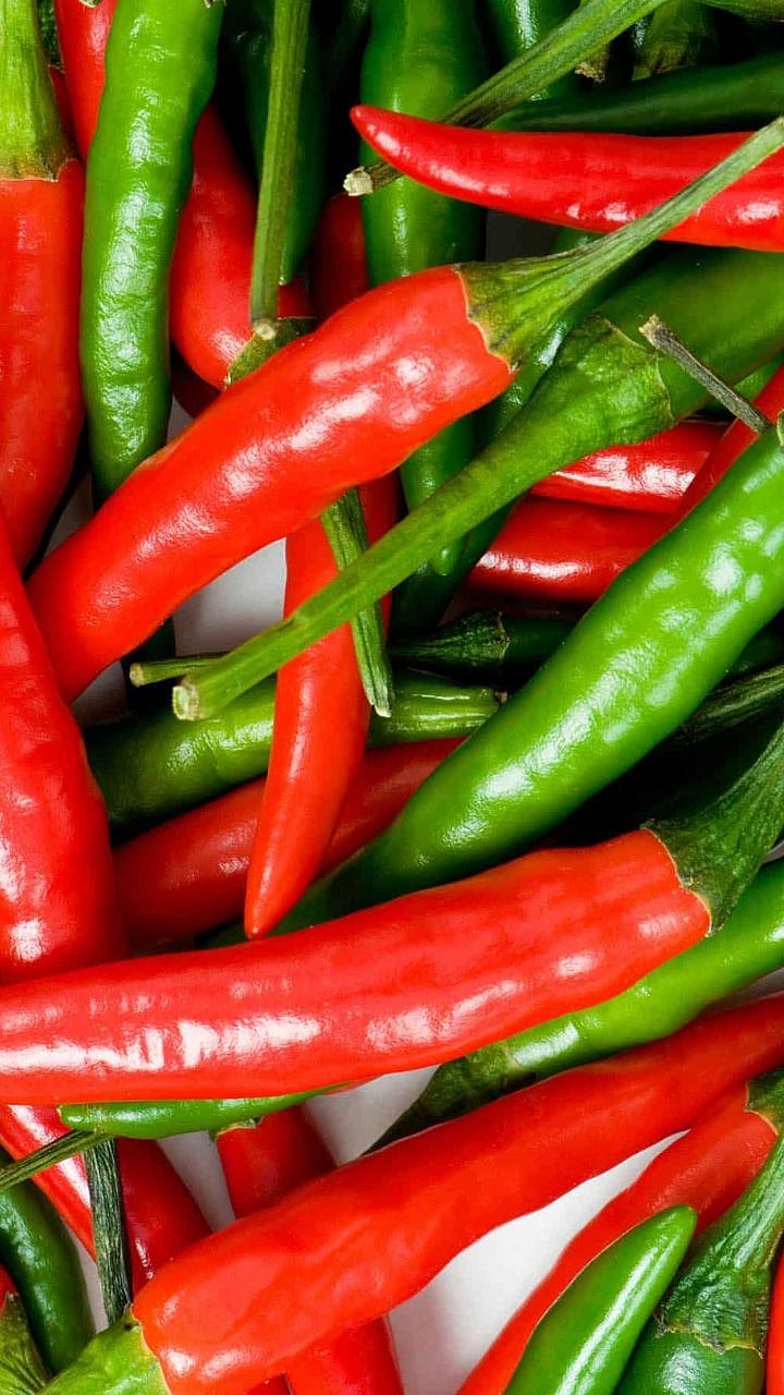 Chili Benefits: मिरची खाण्याचे 'हे' आश्चर्यकारक फायदे तुम्ही कधीच वाचले ...