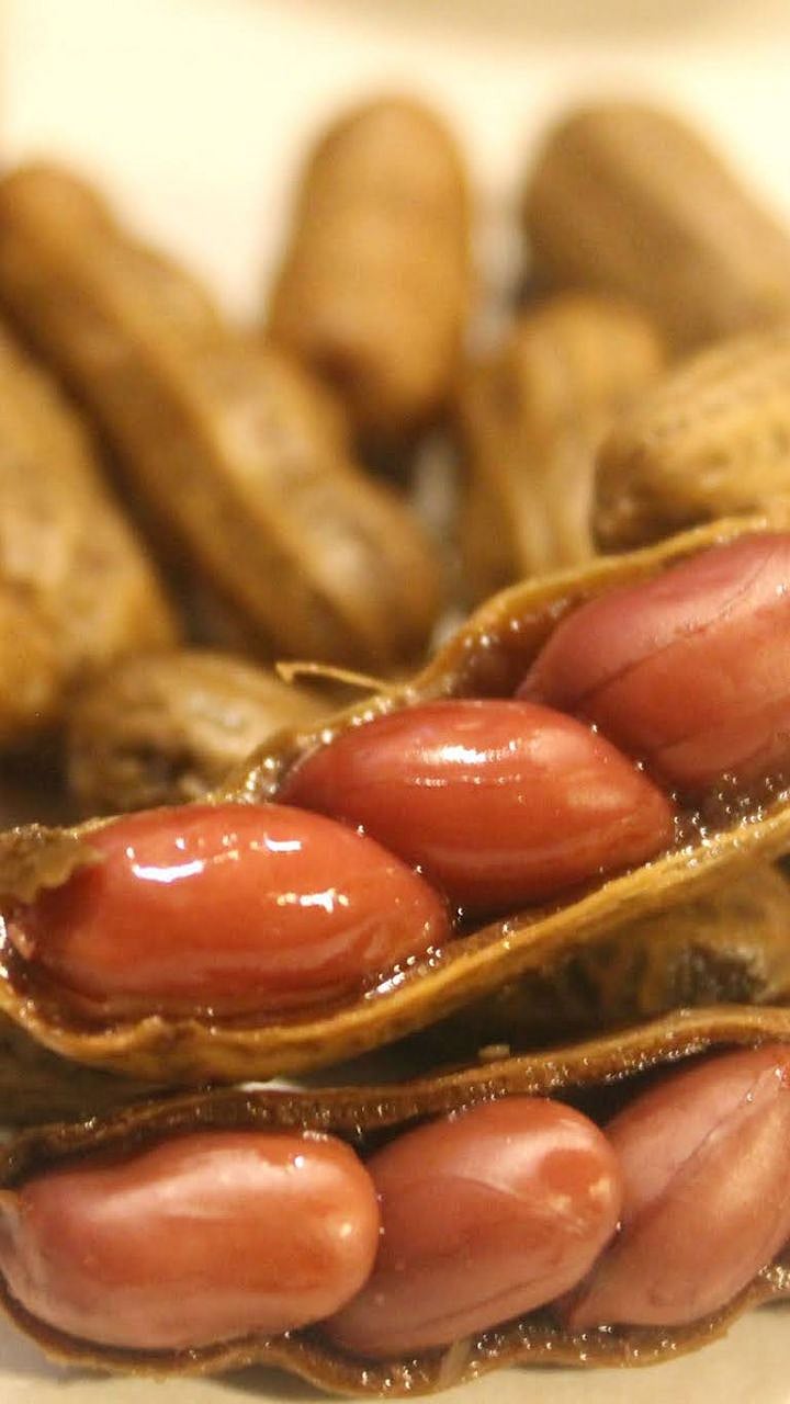 शेगद्याने खाल्ल्यानंतर पाणी योग्य की अयोग्य|is it good or bad to drink ...